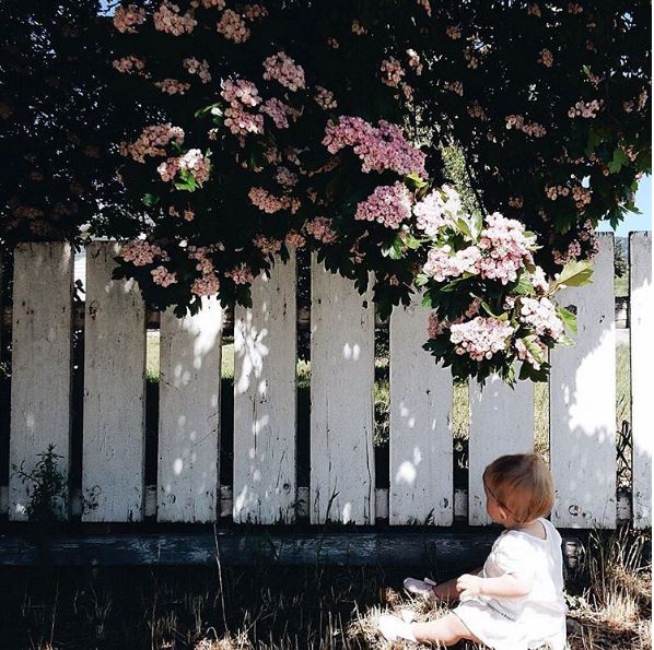 Réussir sa photo instagram – émoi émoi